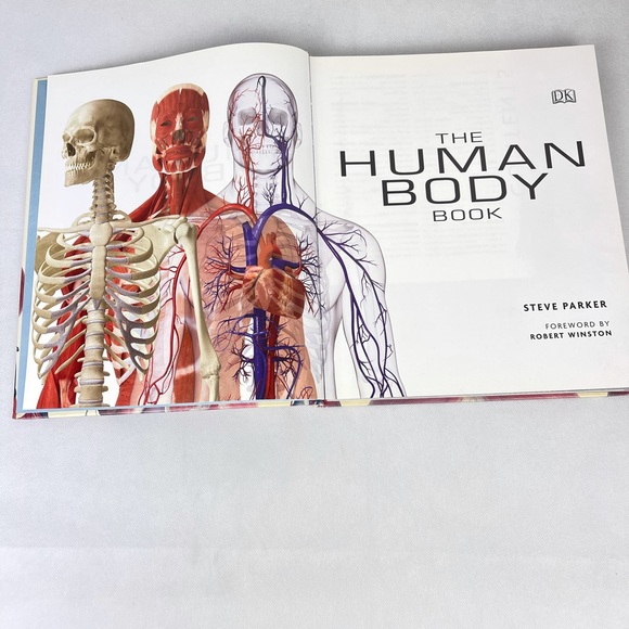 Steve Parker | Office | Human Body Anatomy Book By Steve Parker | Poshmark